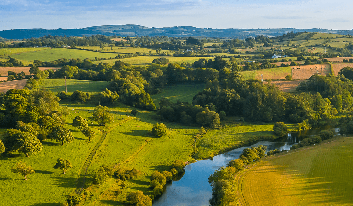LEDP commits to planting 7,000 native Irish trees to boost biodiversity