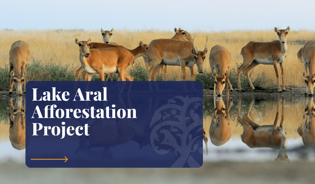 DGB Group | Lake Aral Afforestation Project, Kazakhstan
