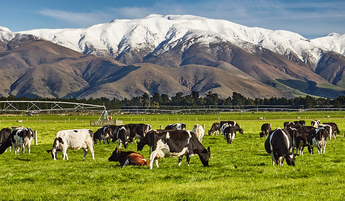 New Zealand to price agricultural emissions as part of a climate ...