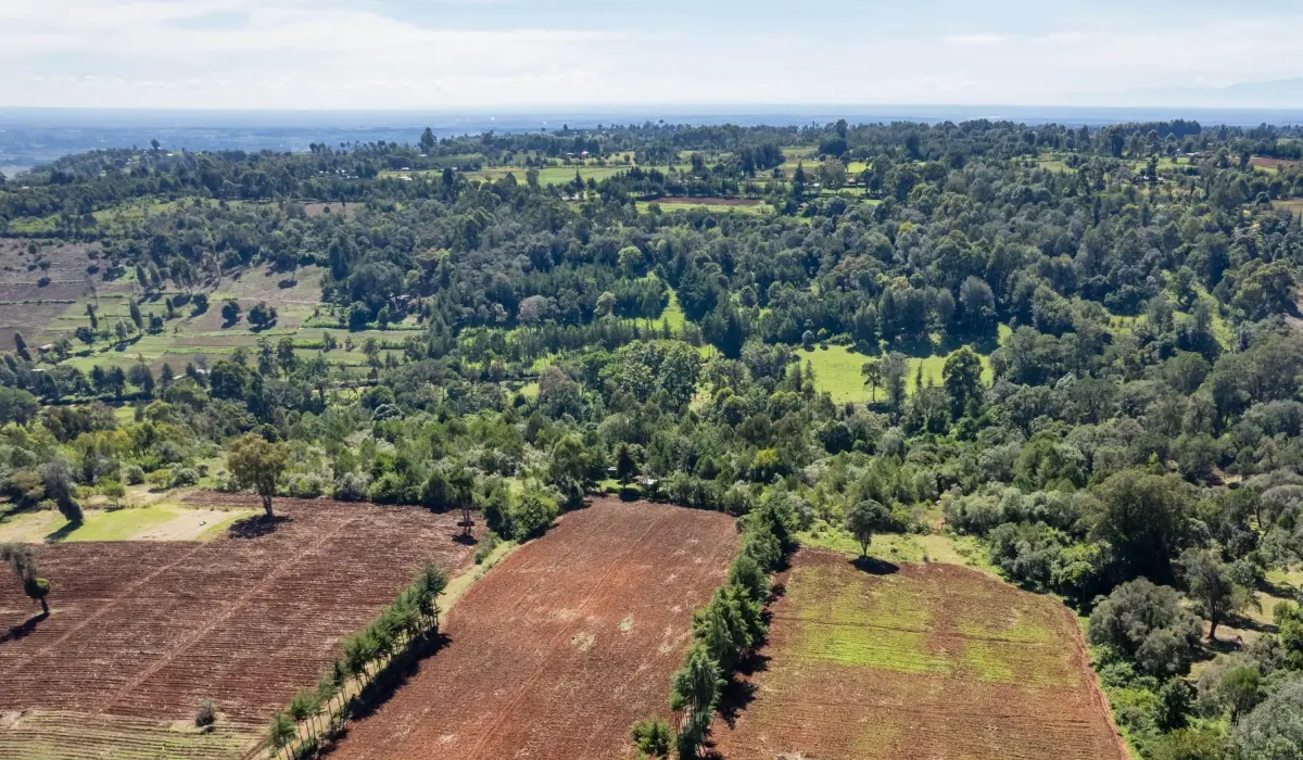 DGB Group updates outlook and sets strategic targets for the next 12 months