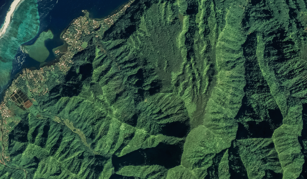 Smithsonian receives $12M from Bezos Fund to launch GEO-TREES: a ...