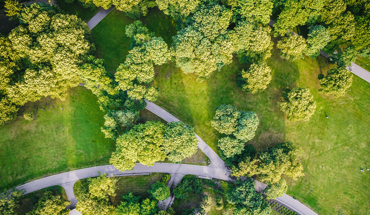 Green infrastructure: how nature can improve urban living