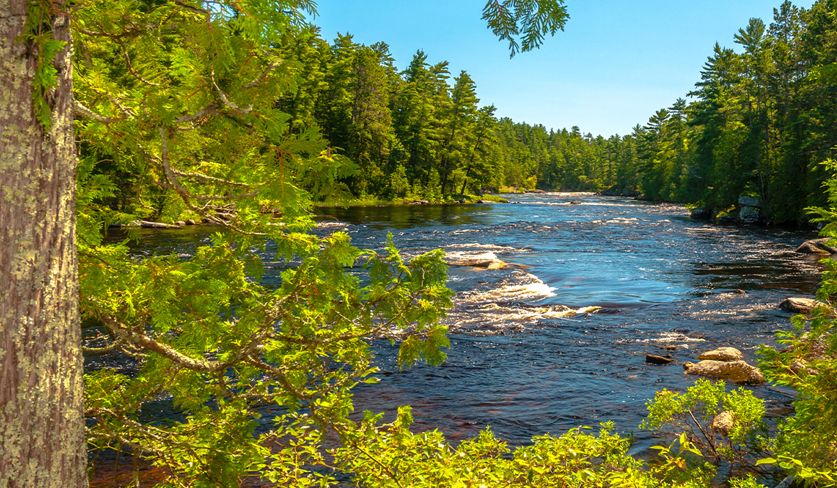 US university to lead AI initiative for carbon capture