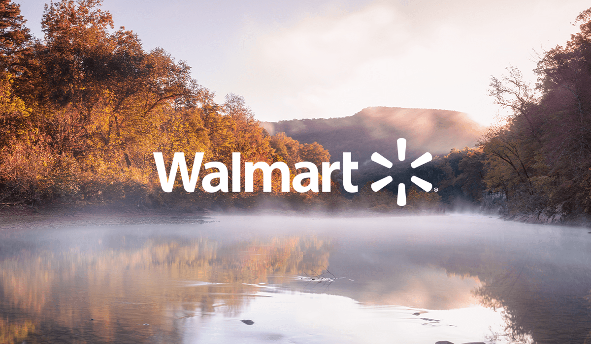 Walmart: achieving carbon neutrality by 2040 through investment in ...