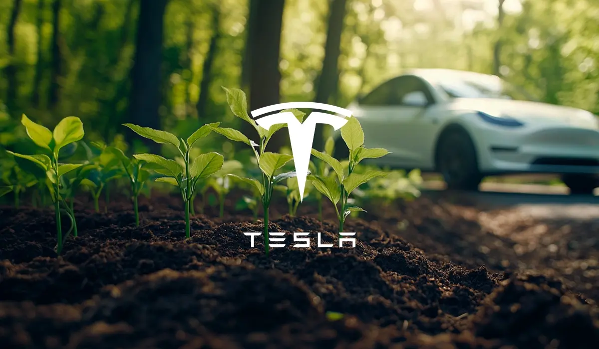 Why Tesla is winning in the carbon market and what’s next