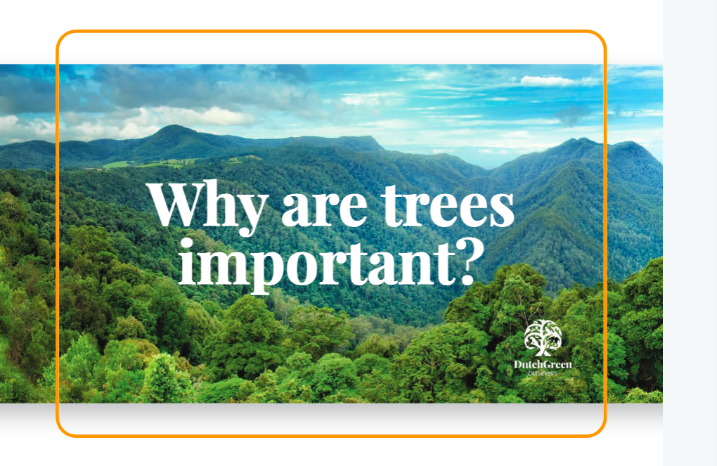 Why Trees Are Important