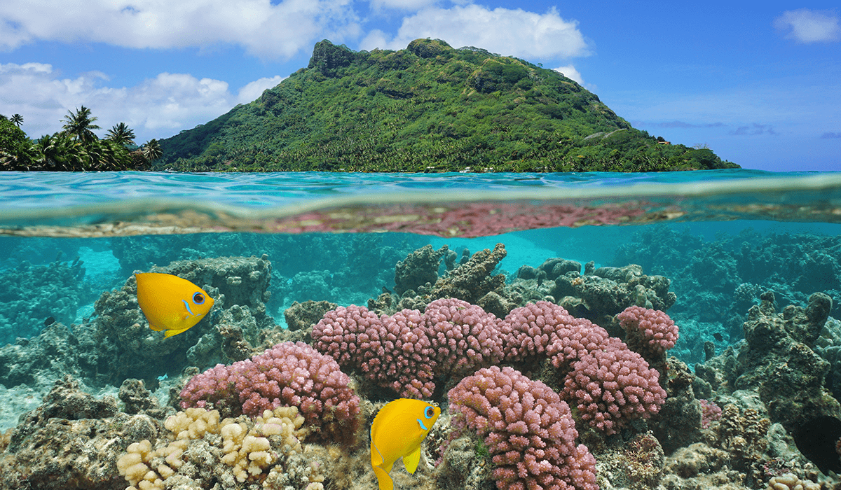 How can you maintain the ecosystems in your surrounding area?