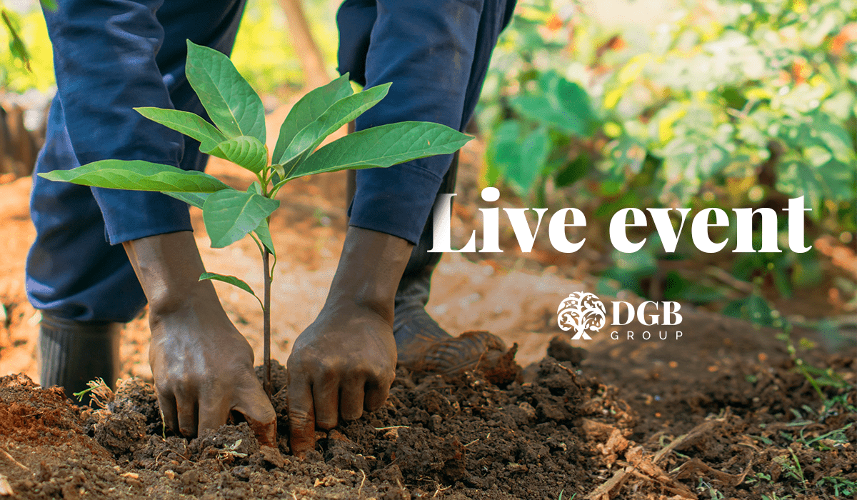 DGB Group | High-Quality, High-Integrity Nature-Based Carbon Credits ...