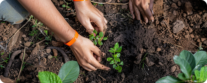 Carbon Units for Beginners