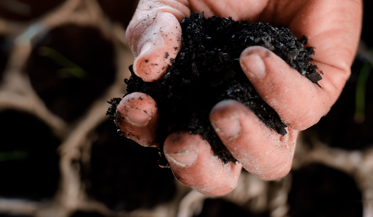 Introducing biochar: a new innovative carbon storage solution