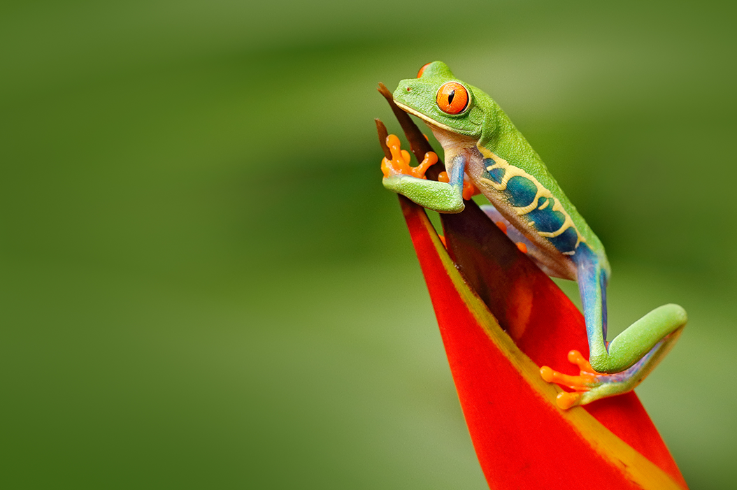 Green Earth | News | Plastic