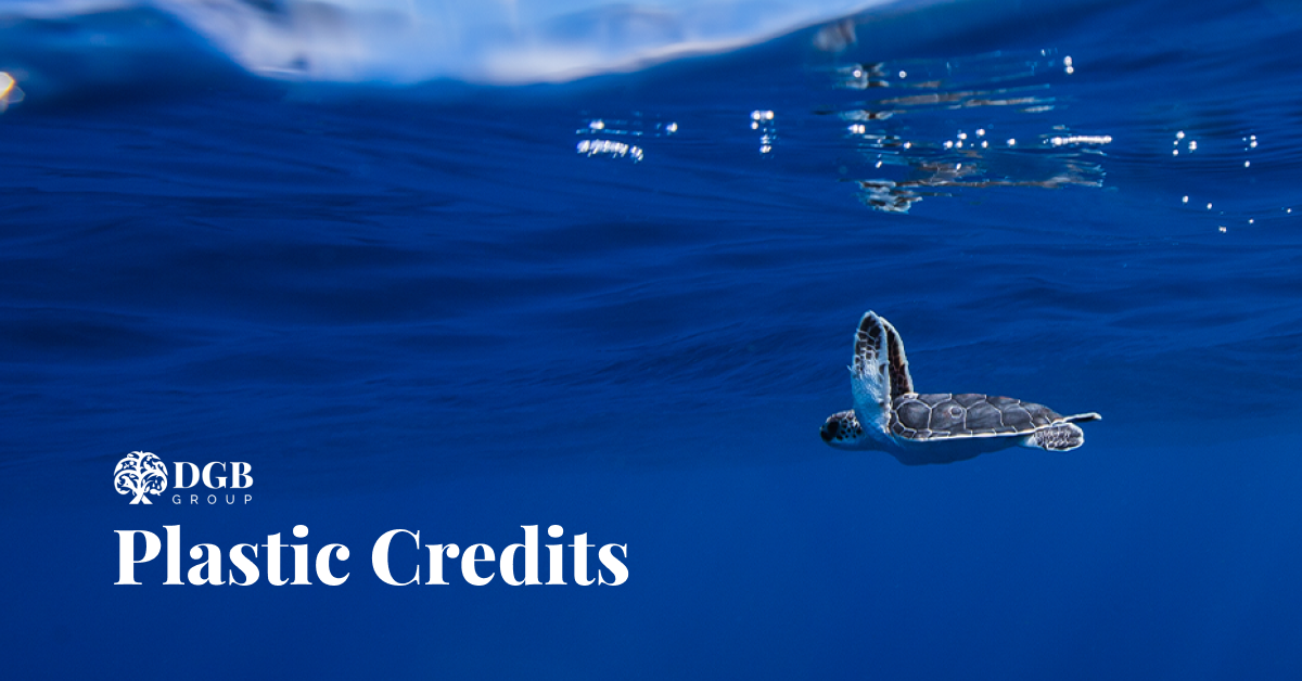 Green Earth | Plastic credits brochure