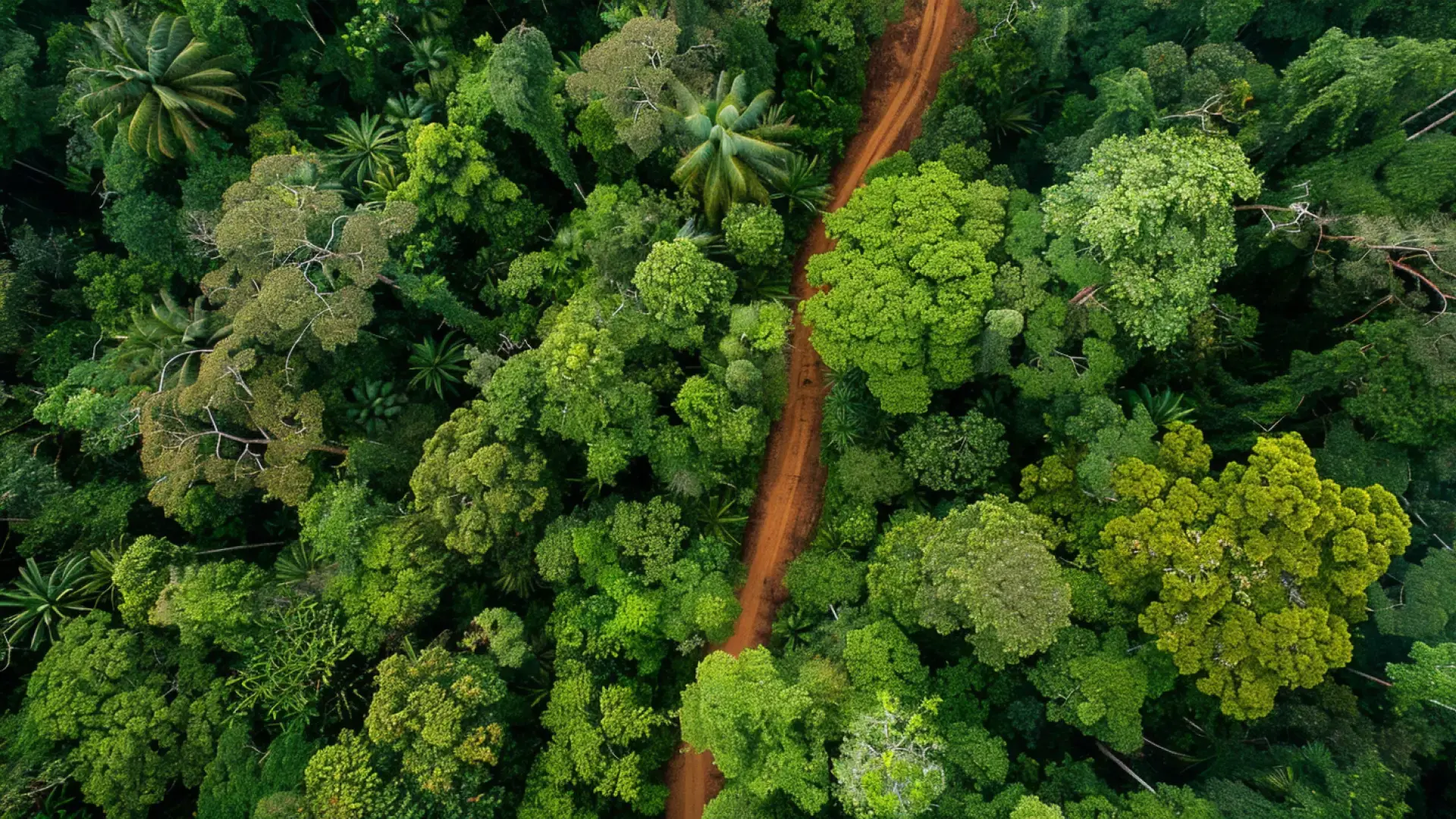 Start here - What is a carbon unit?