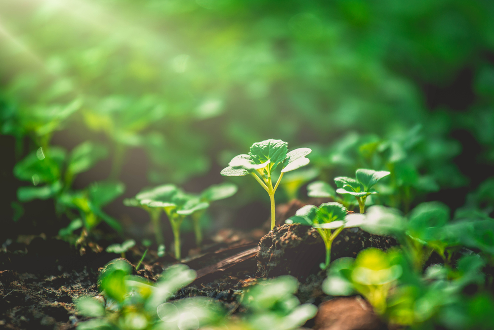 DGB Group releases 2023 Q2 update